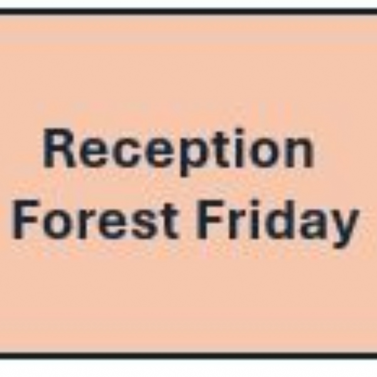 Ankermoor Primary Academy - Reception Forest Friday